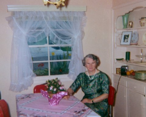 65th Anniversary - Bible Study Fellowship